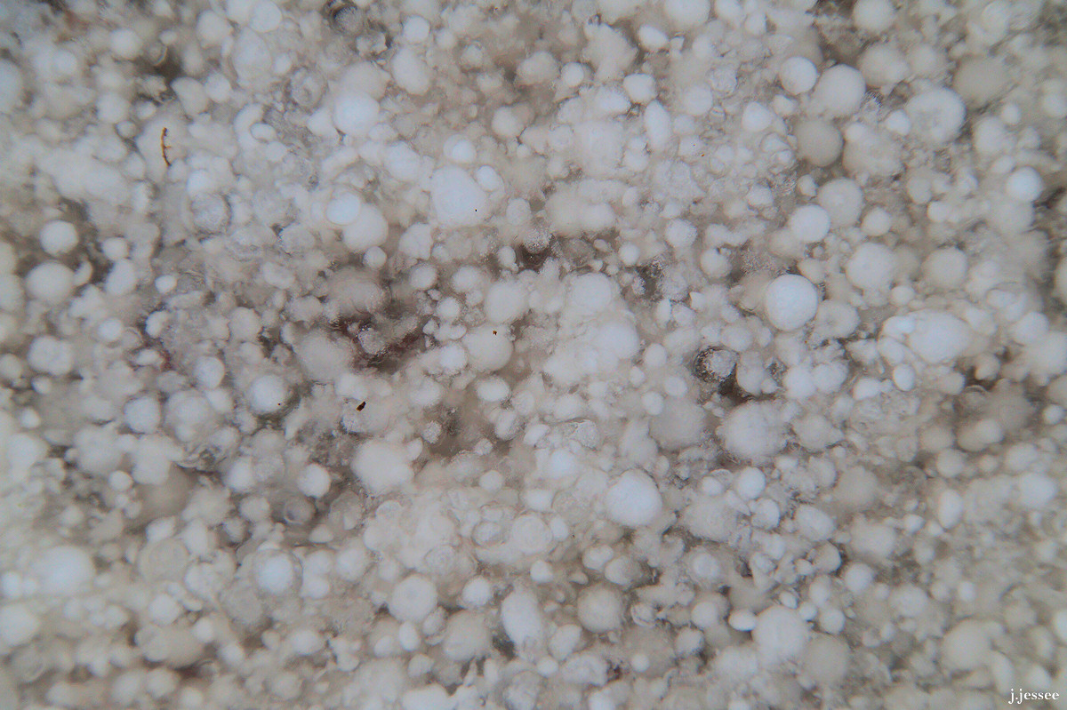 Loud hail storm in the mountains of New Mexico « The Jack Jessee Blog